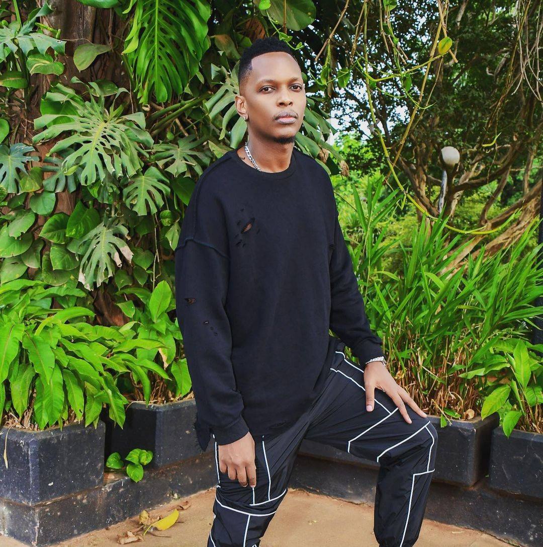 Allan Toniks on His Way to Sleeping in a Mansion - Nowviba